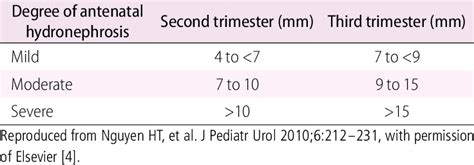 Classification Of Antenatal Hydronephrosis Based On The Anteroposterior Download Table