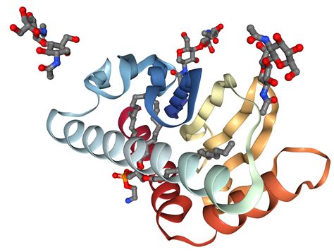 Epcr Protein Overview Sino Biological