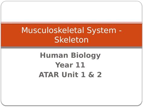Pptx Musculoskeletal System Skeleton Ppt Dokumentips