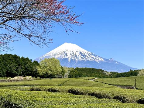 静岡県含む東海地方が今週梅雨入りか 平年の期間は 昨年は梅雨明け大幅修正 静岡ライフ