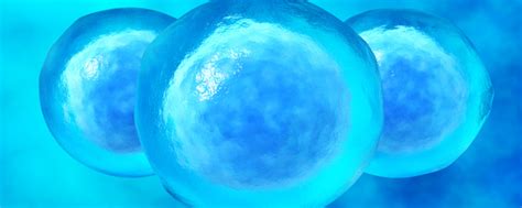 The Safety And Effectiveness Of Stem Cell Treatment As An Emerging