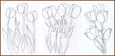 Weekly Doodles And Tuts How To Draw A Tulip Method