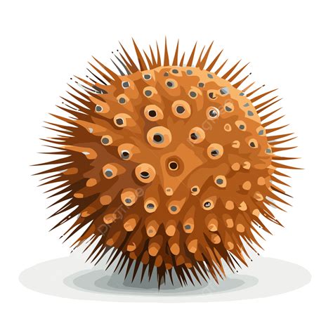 성게 벡터 흰색 배경 만화에 고립 된 눈을 가진 스티커 클립 아트 바이러스 공 상표 클립 아트 Png 일러스트 및 벡터 에 대한 무료 다운로드 Pngtree