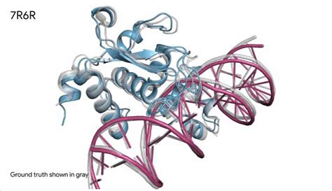 Nature重磅 革命性突破！alphafold 3全面预测生物分子结构，药物研发跨入新时代 知乎