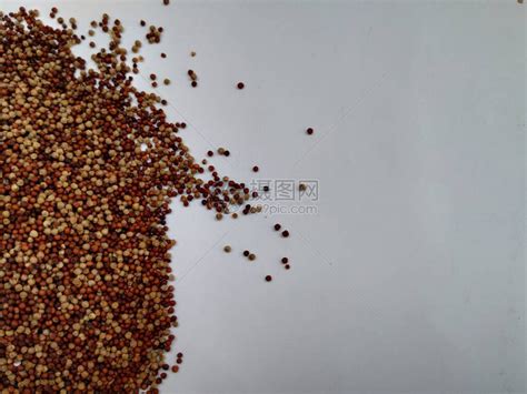 增强骨骼在白色背景中隔离的ra高清图片下载 正版图片506587462 摄图网