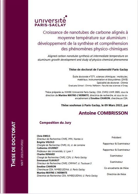 Aligned Carbon Nanotube Synthesis At Intermediate Temperature On Aluminum Growth Development