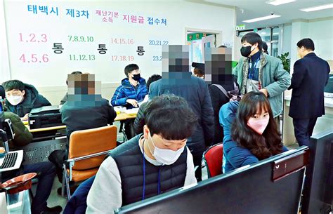 태백시 시의회 3차 재난기본소득 재원 예비비 사용 진실 공방 나무뉴스