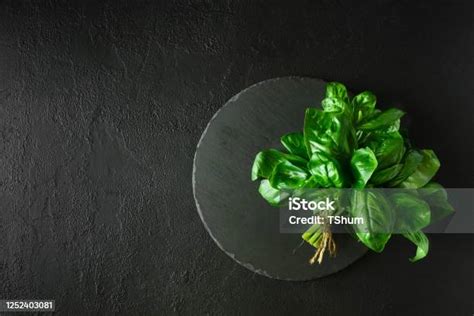 둥근 슬레이트 플레이트와 어두운 콘크리트 배경에 신선한 녹색 바질 맨 위 보기입니다 플랫 레이 마저럼에 대한 스톡 사진 및 기타 이미지 Istock