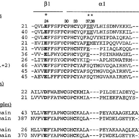 Structure Based Alignment Of The Known Dsba Sequences And Sequences Of