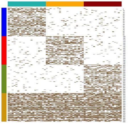 Presence Absence Heatmaps For Cases 1 3 4 And 13 Rows Correspond To