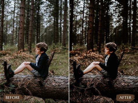 Moody Woodlands Lightroom Presets Pixmellow