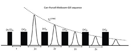 18 Séquence Carr Purcell Meiboom Gill Cpmg Download Scientific Diagram