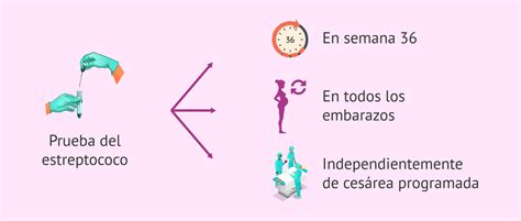 Cuándo se hace el test del estreptococo a la embarazada