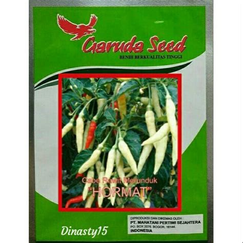 CABE RAWIT Benih Cabe Rawit Putih Merunduk Hormat Garuda Seed BIBIT CABAI Shopee Indonesia