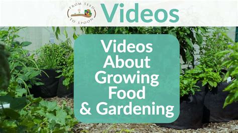 Growing Food Videos From Seed To Spoon Vegetable Garden Planner