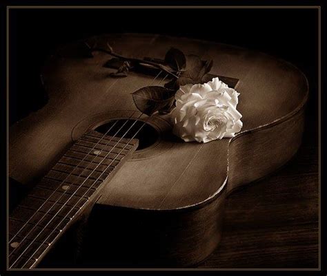 მოსწავლე ახალგაზრდობის სახლი