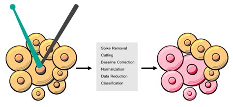 Graphical Sketch Of The Machine Learning Experimental Design Applied In