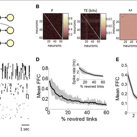 estimation of functionally feedforward connectivity in a poisson