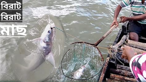 বিরাট বিরাট মাছ ধরলাম সুন্দরবনের নদী থেকেi Caught A Big Fish From The