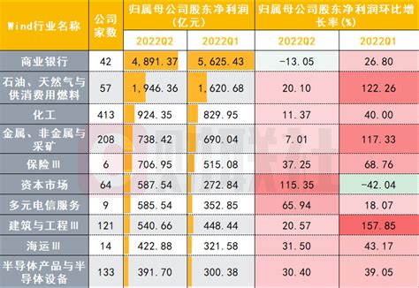 业绩增长王上半年净利暴增277倍 两大行业上半年最赚钱美国市场九安医疗上市公司