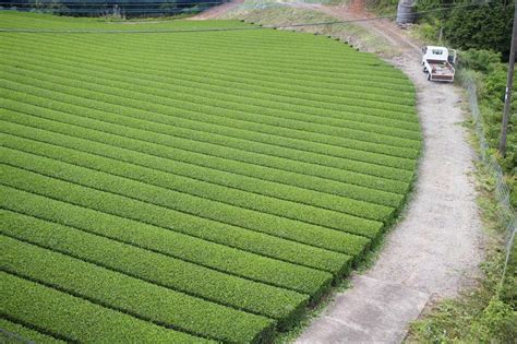 [전체일정] 운젠지옥 아리타 우레시노 도자기헌팅 사가 3박4일 자유여행 일정 비용 교통 호텔 등 네이버 블로그