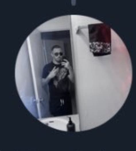 Chihuahuatrifecta On Twitter Not Too Sure About These Two “straight