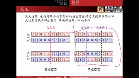 学习常用模型及算法：1启发式算法（模拟退火和遗传算法）启发式算法模型 Csdn博客