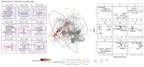 Analysing Nanostrings Geomx Transcriptomics Data Using Standr Limma