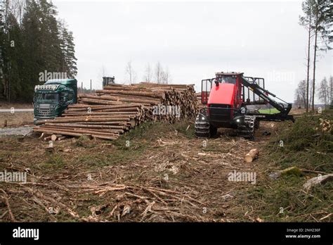 Logging Truck Loading Timberdeforastation Area Stock Photo Alamy