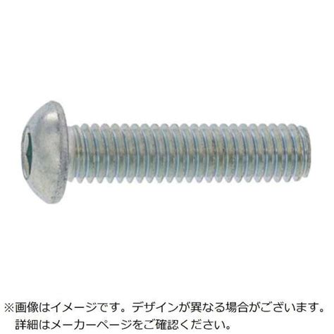 Sunco Susボタンcap 日産ネジ 10×40 （100本入） A002100n0100040000 サンコーインダストリー｜sunco