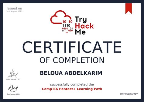 Security Experience Tryhackme Pentestlearningpath Cybersecurity Penetrationtesting