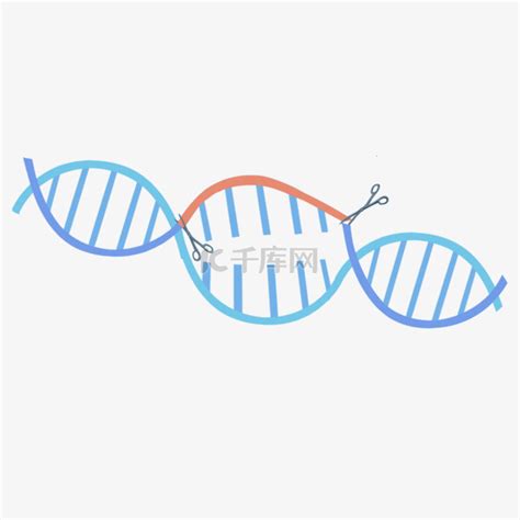 基因编辑技术医学研究素材图片免费下载 千库网