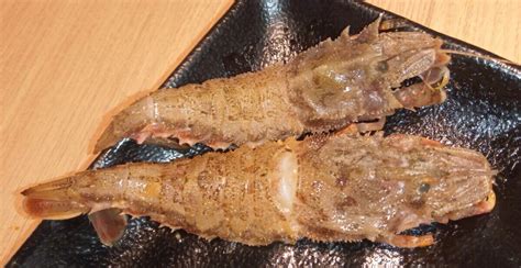 トゲザコエビの特徴生態食べ方や旬料理を徹底解説 とともん