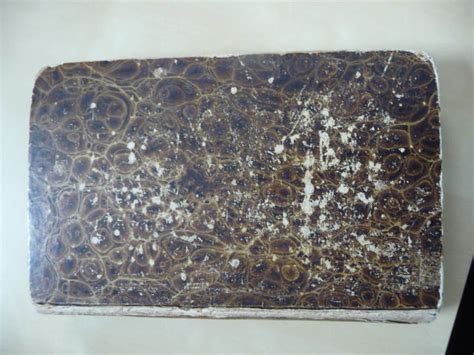 Der Sammler für Geschichte und Alterthum Kunst und Natur im Elbthale