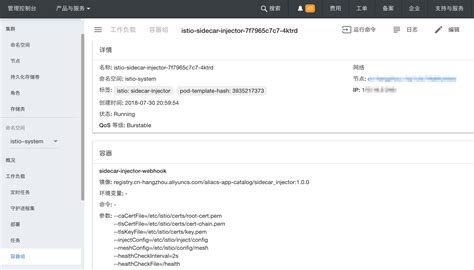 阿里云kubernetes容器服务istio实践之sidecar自动注入 阿里云开发者社区