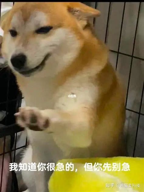 如何在linux系统中安装gpu驱动 知乎