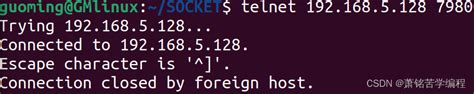 Socket Socket Csdn