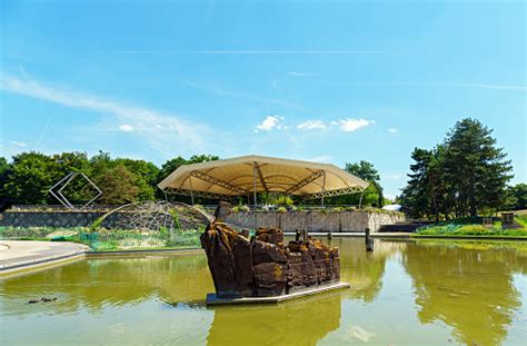 부아 드 빈센느의 파르크 플로럴 드 파리의 워터 미러 파리 프랑스 0명에 대한 스톡 사진 및 기타 이미지 0명 공원 관광