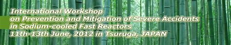 Sfr Sa Workshop