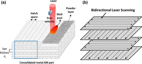 Schematic Representation Of Bi Directional Scanning Methodology Of Lpbf