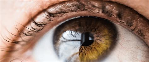 Gender Determination With Morphometry Of Eyes Using Deep Learning Model Dev Community