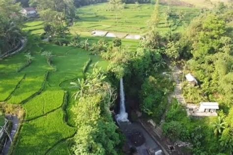 Curug Cigetruk Keindahan Air Terjun Yang Menakjubkan Dan Dikelilingi