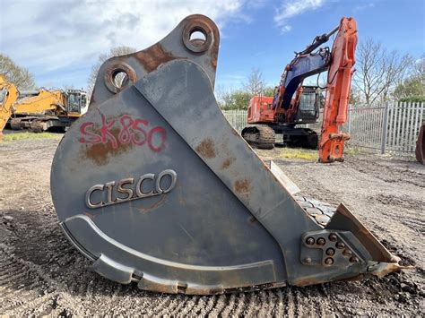 Cisco Rock Bucket Sjh All Plant