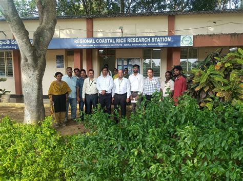 Director Icar Nrri Cuttack Visited Regional Coastal Rice Research