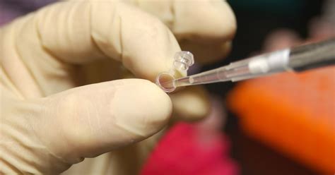 New Dna Supercomputer Promises Radically Cheaper Genome Tests The Verge
