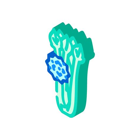 Celery Allergen Free Product Food Isometric Icon Illustration 47623979