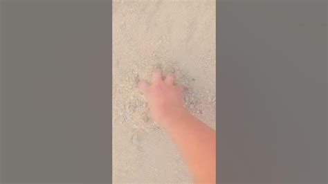 Gulab Ka Tree Tree Viralvideo Youtube