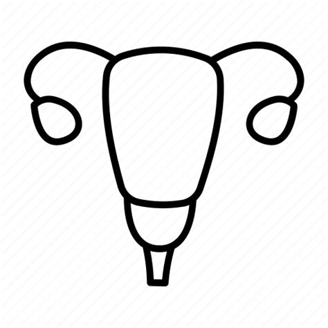 Anatomy Human Organ Sex Icon
