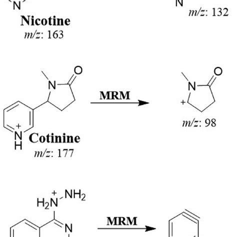 Multiple Reaction Monitoring Mrm Mass Transitions For Nicotine N