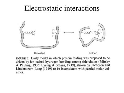 Ppt Interactions In Proteins And Their Role In Structure Formation Powerpoint Presentation